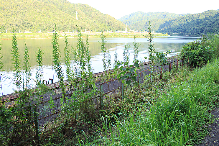 gzn.tokyo | 巷のマガジンを超えるガジン（GZN）GクラスからZ級まで最新ニュース満載！ 毎日更新中！